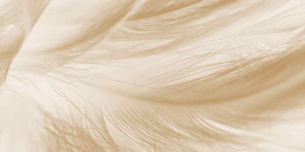 Sensitive vs Sensitised - which is it? - MV SKINTHERAPY