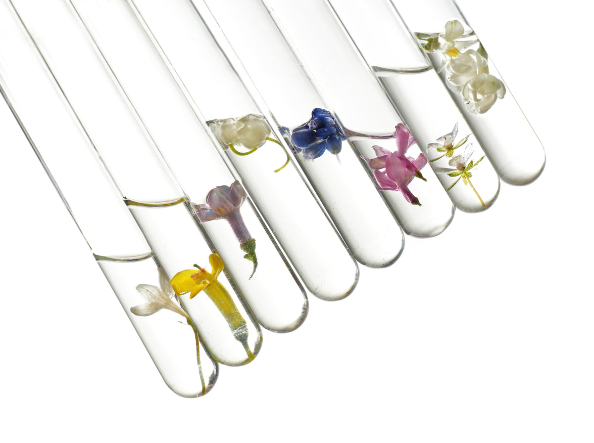 INCI names : what does this mean? - MV SKINTHERAPY