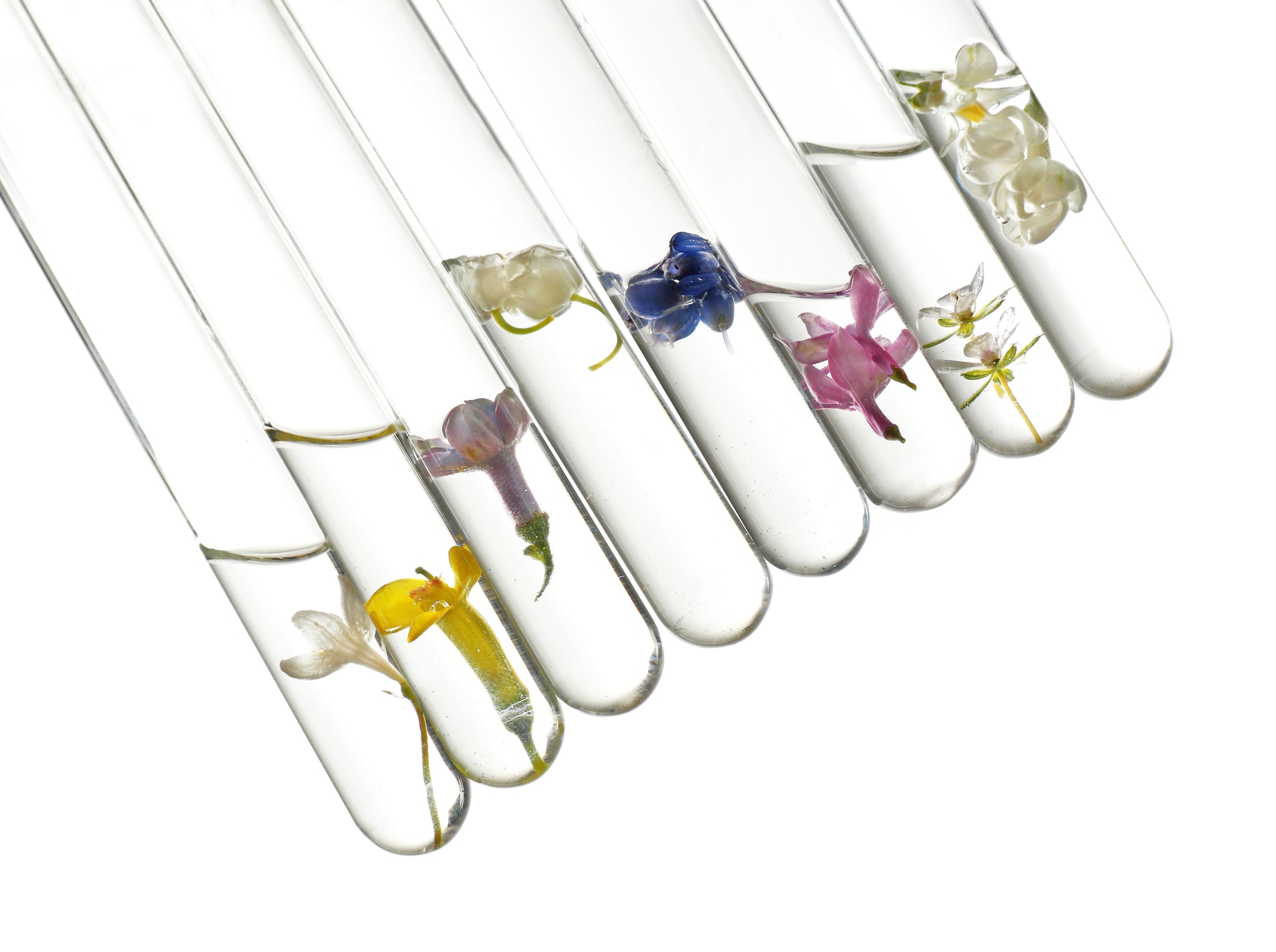 INCI names : what does this mean? - MV SKINTHERAPY