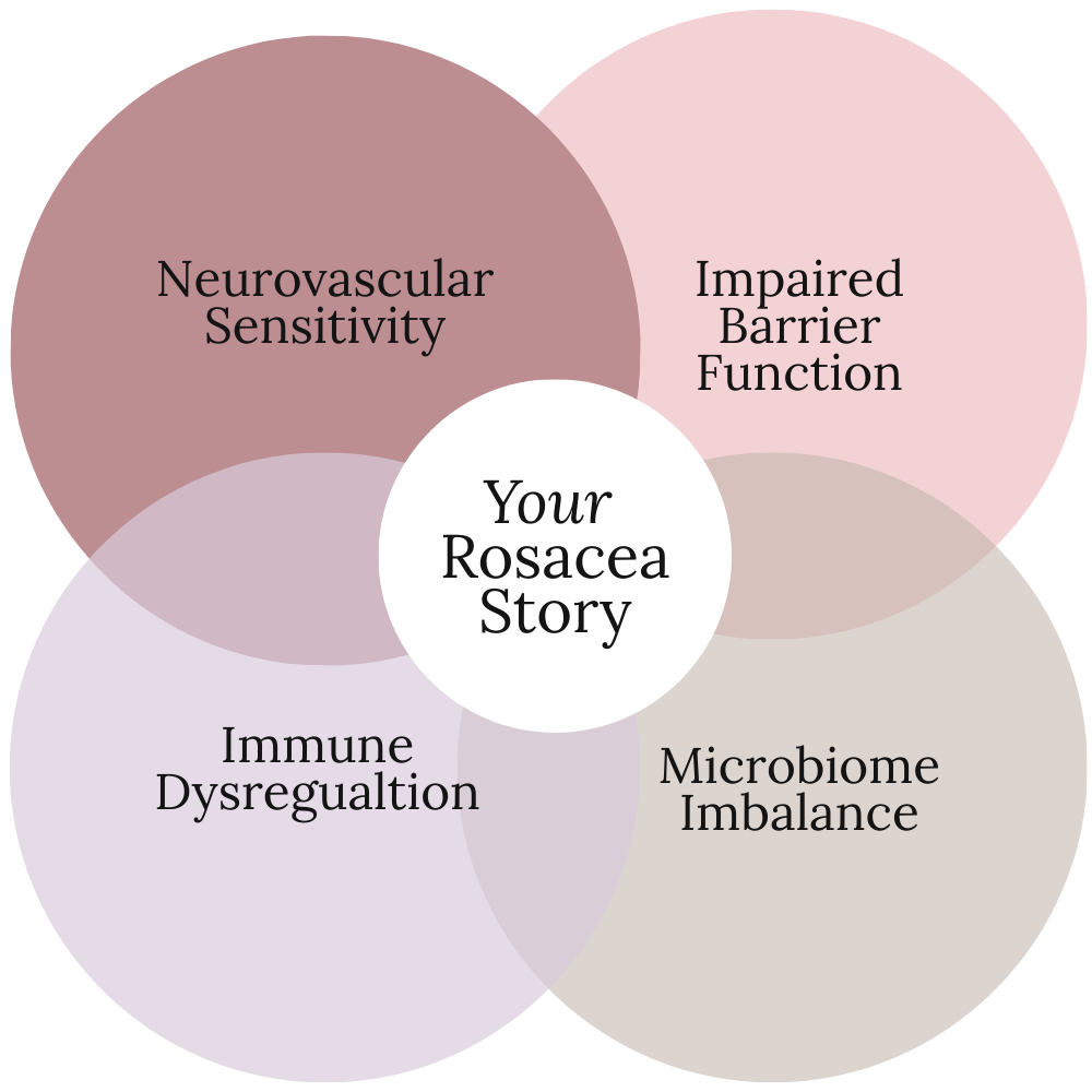 What Causes Rosacea? – MV SKINTHERAPY